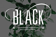 Opiko, a Sans Serif Font by edcreative