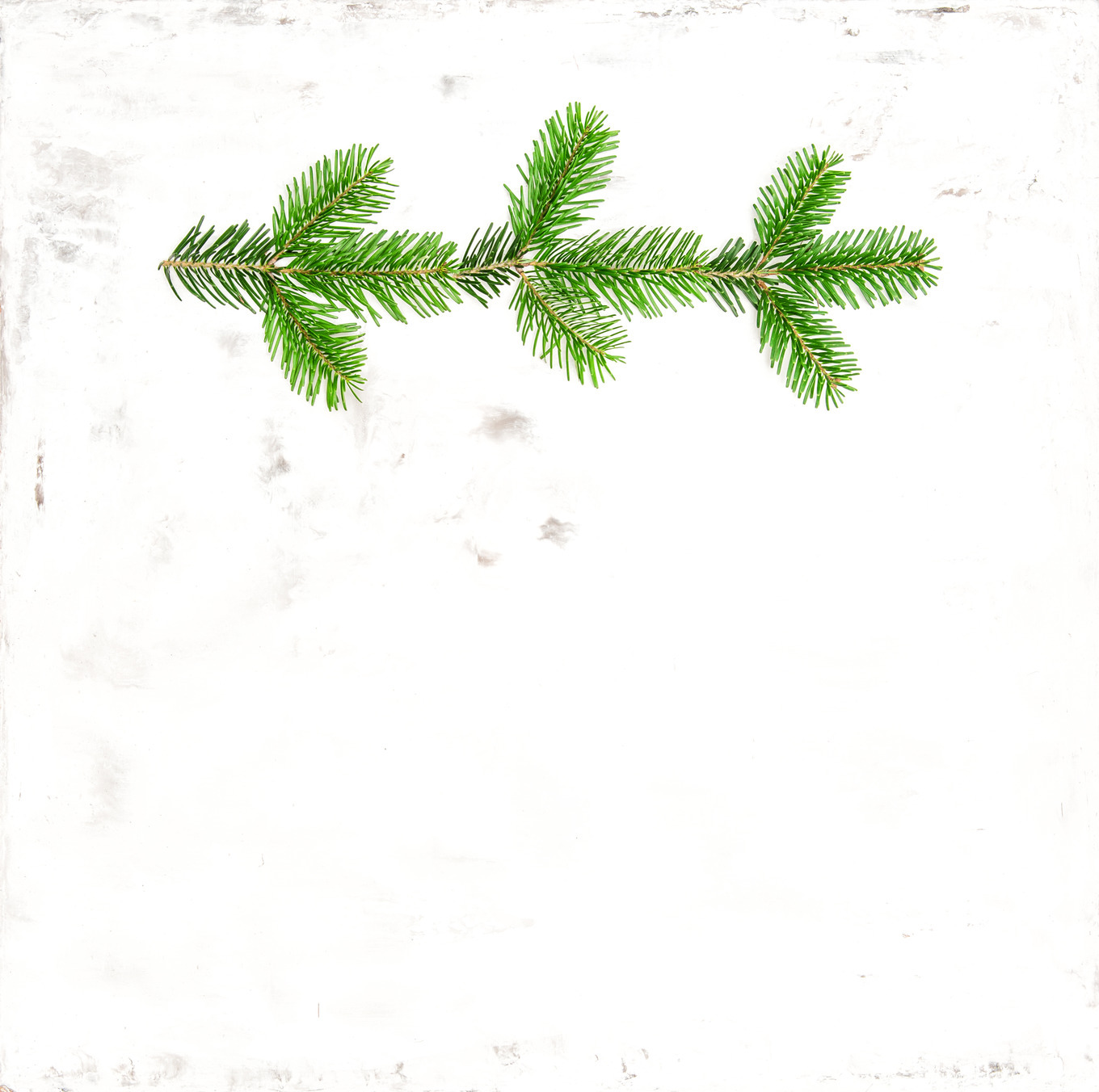 Christmas tree branches Flat lay, a Holiday Photo by LiliGraphie