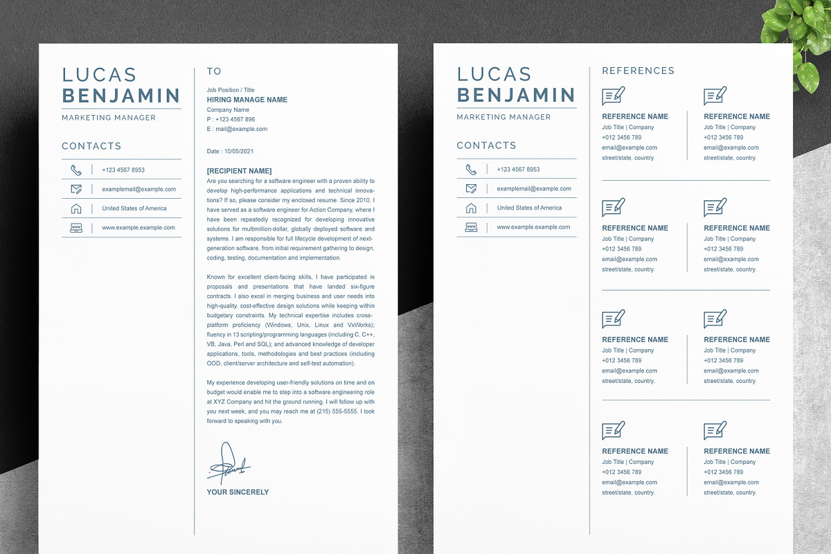 Clean Modern Executive Resume | CV