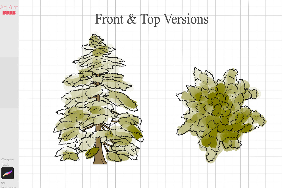 Procreate Landscape Tree Stamps