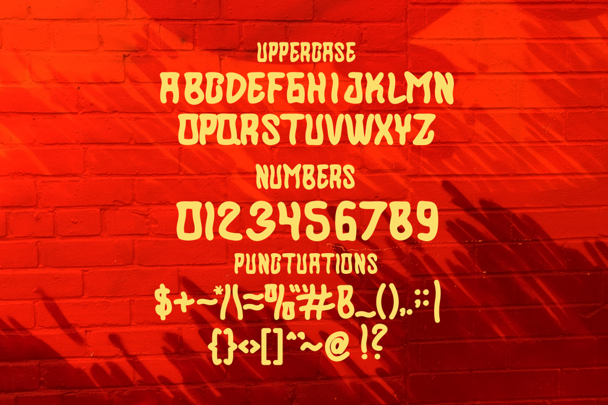 Chanara font, a Serif Font by VectorCraft