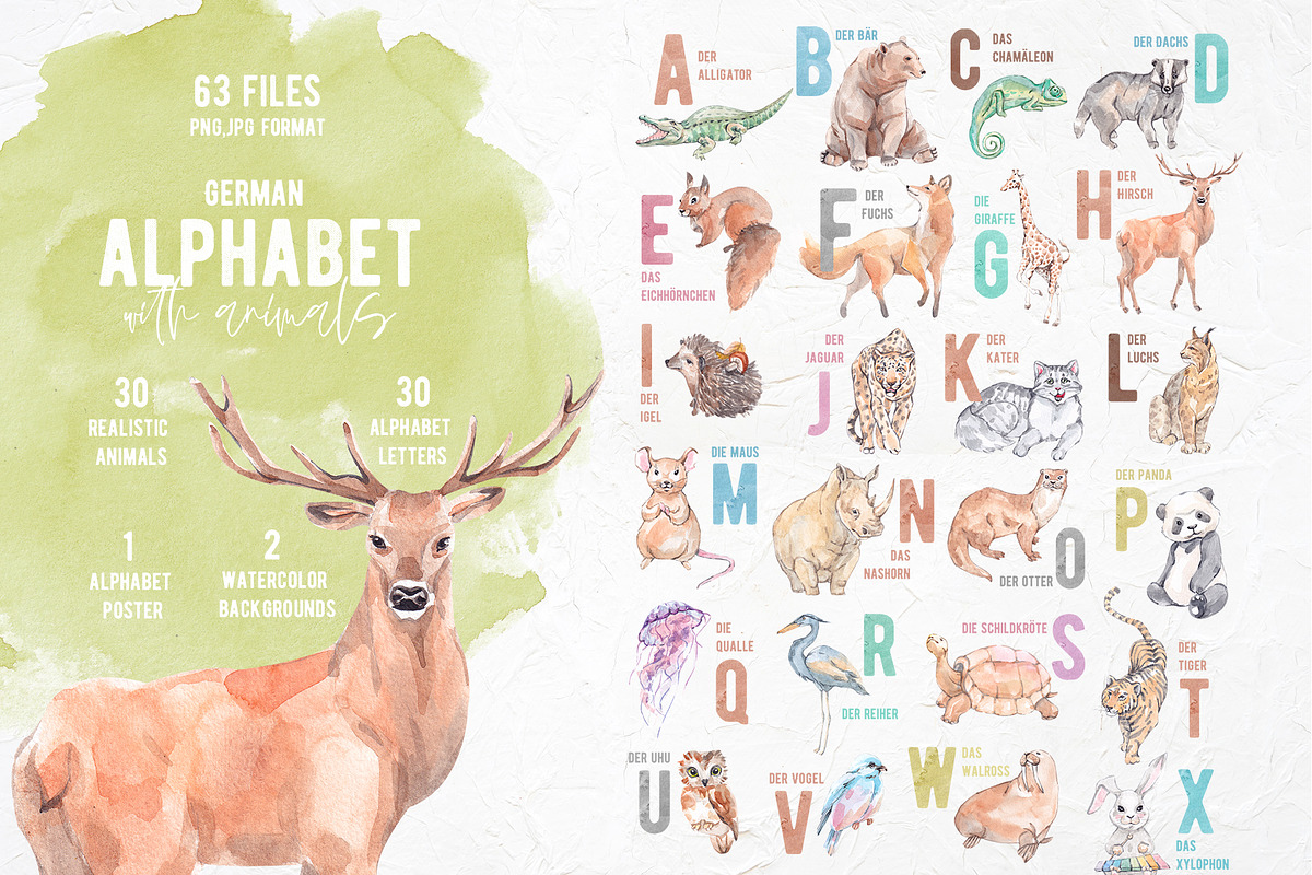 Alphabets ABC. Watercolor BUNDLE, an Animal Illustration by VerAna