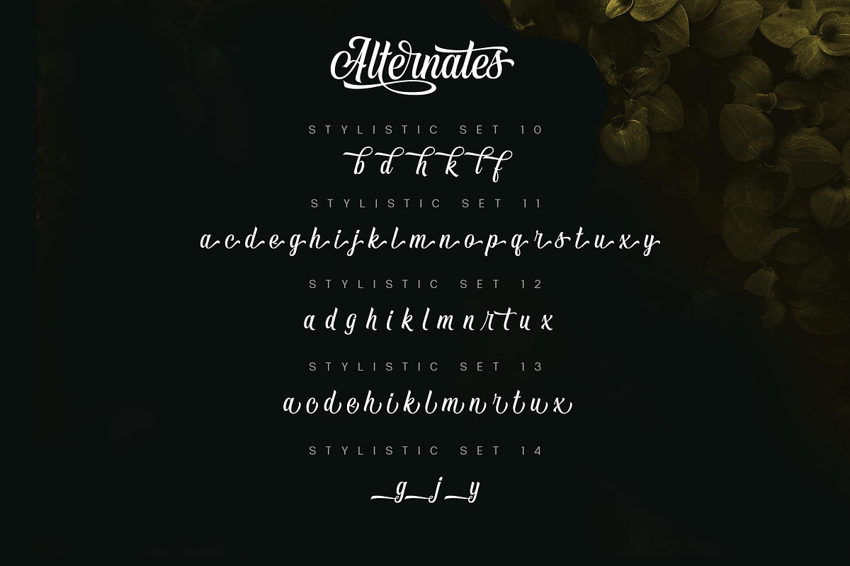 Vontgod Typeface, a Script Font by alit design