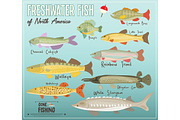Freshwater Fish of North America, an Object Graphic by ELFIVETROV DESIGN