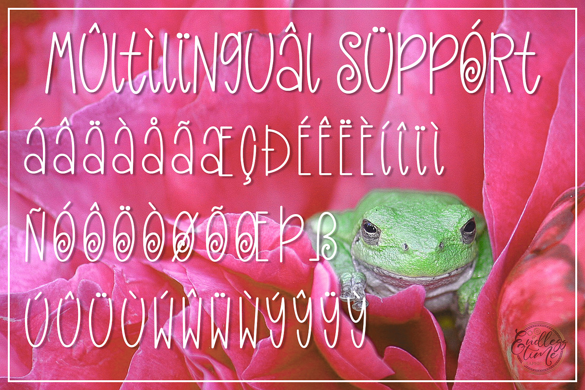 The Shady Frog | Endless Time Graphics