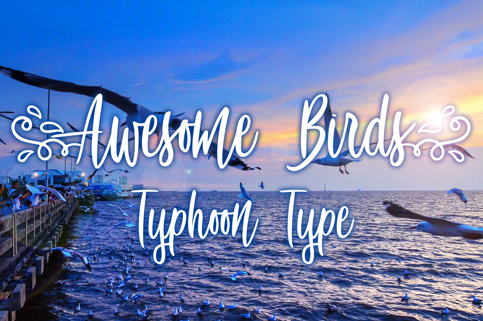 Awesome Birds font, a Script Font by TyphoonType™ S. Srisopha ...