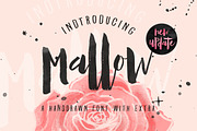 Mallow Typeface & EXTRA Mockup, a Script Font by maghrib