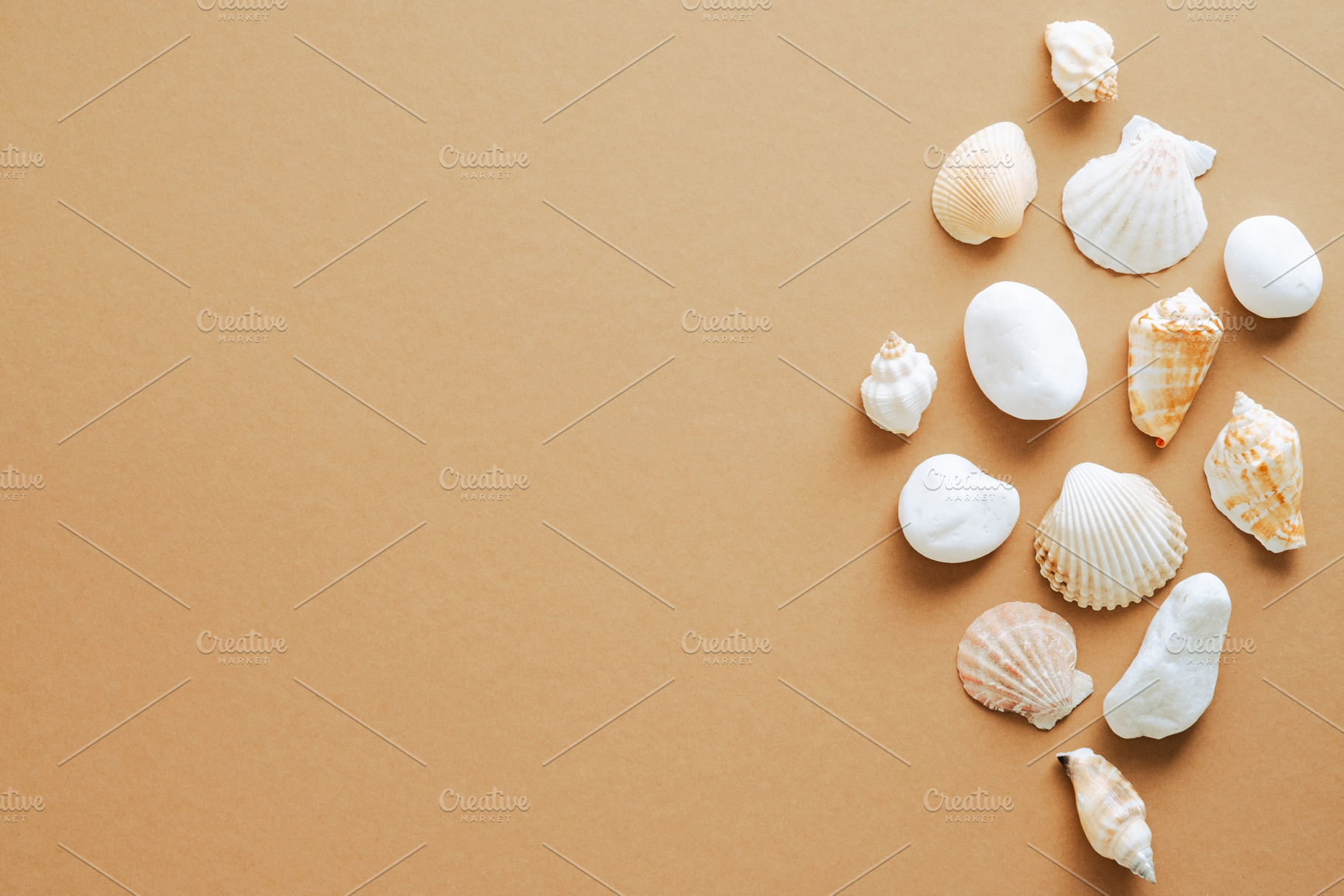Seashells set on sand background, a Beauty & Fashion Photo by photoguns ...