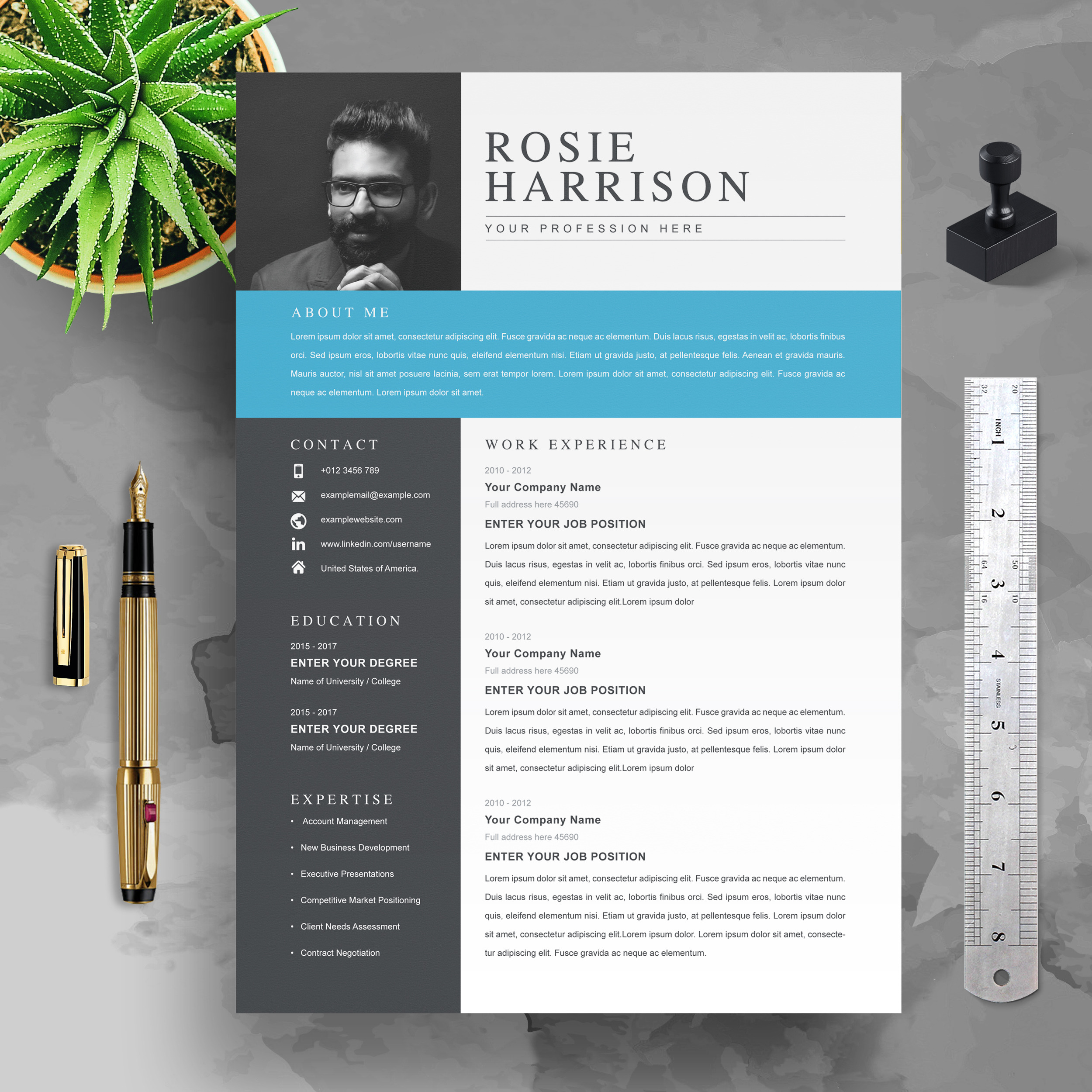 Creative Resume Template For Ms Word
