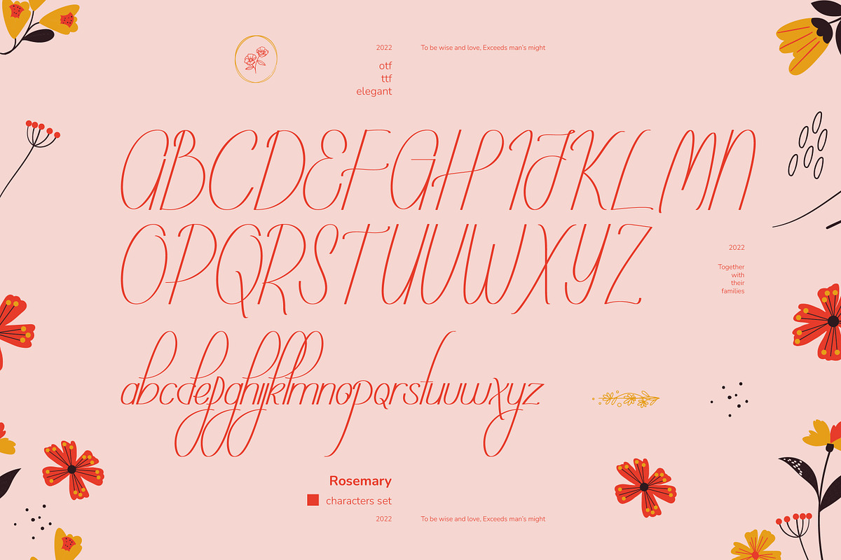 Rosemary Handwritten Font, a Script Font by infernostudio3