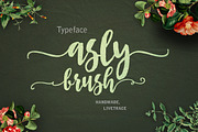 Asly Brush, a Script Font by artisans
