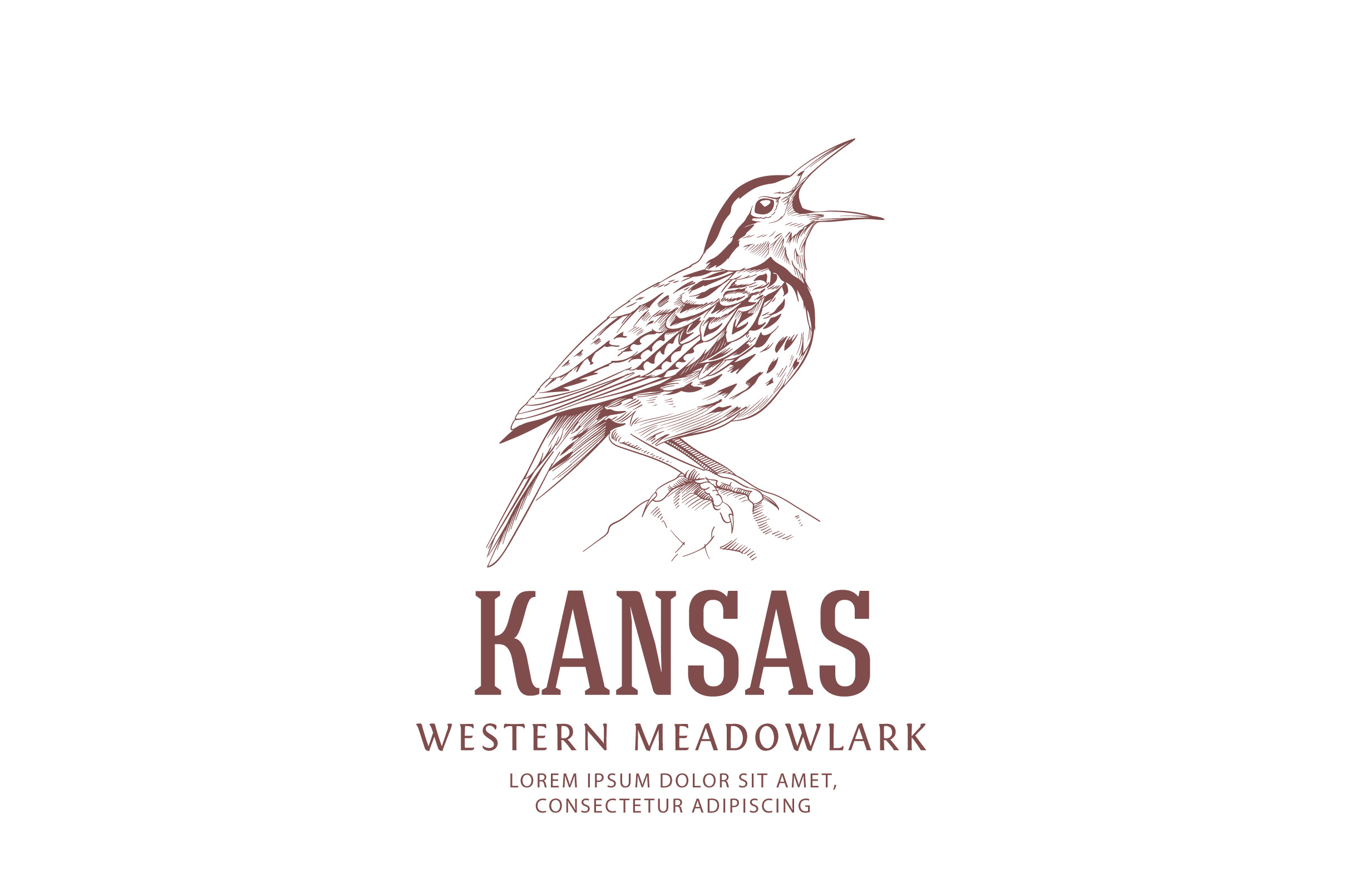 Vintage Logo. Kansas State Bird, a Branding & Logo Template by vatesdesign