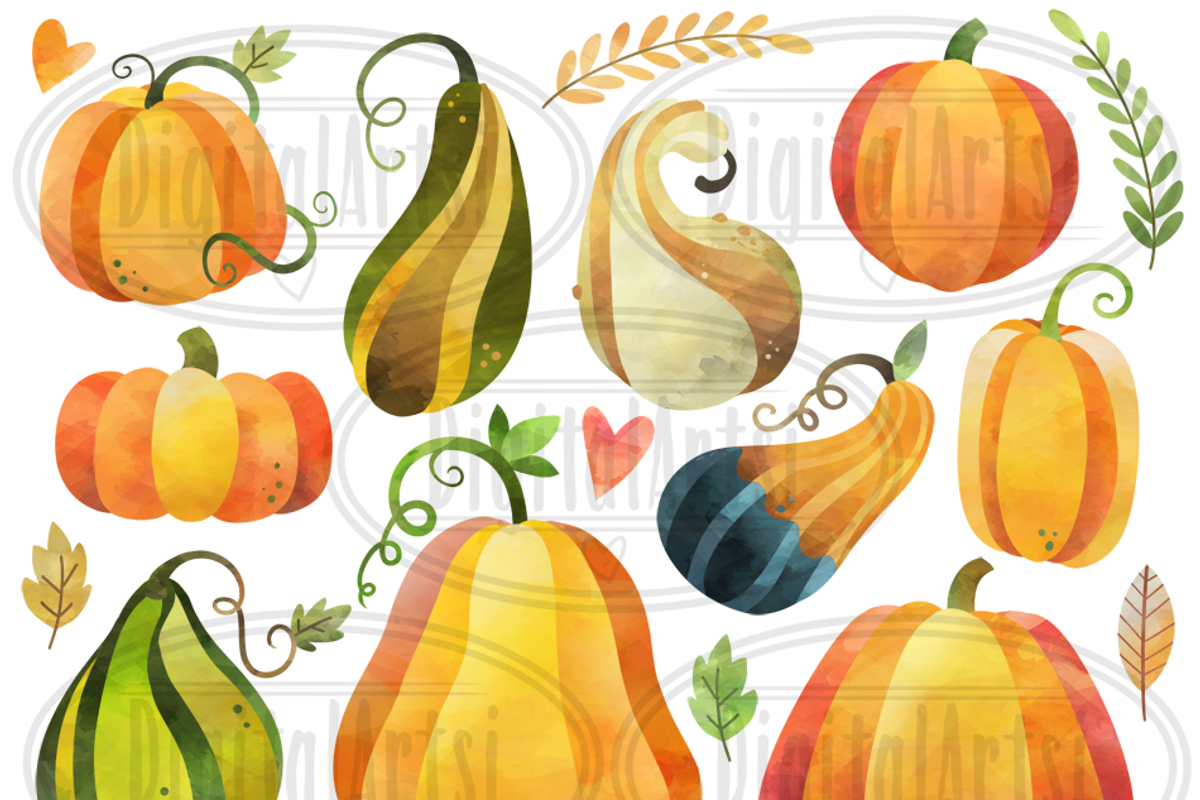 Watercolor Pumpkins Clipart, an Illustration by DigitalArtsi
