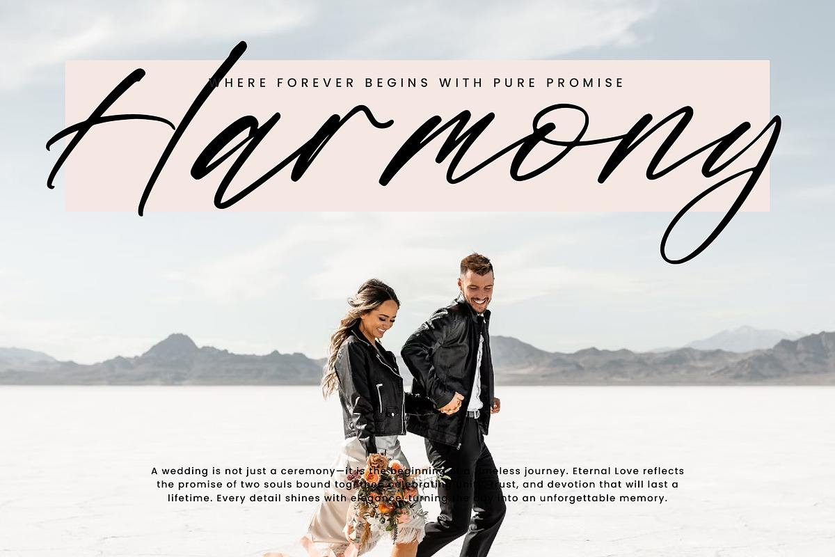 Midnight Horizon, a Script Font by Integritype Studio