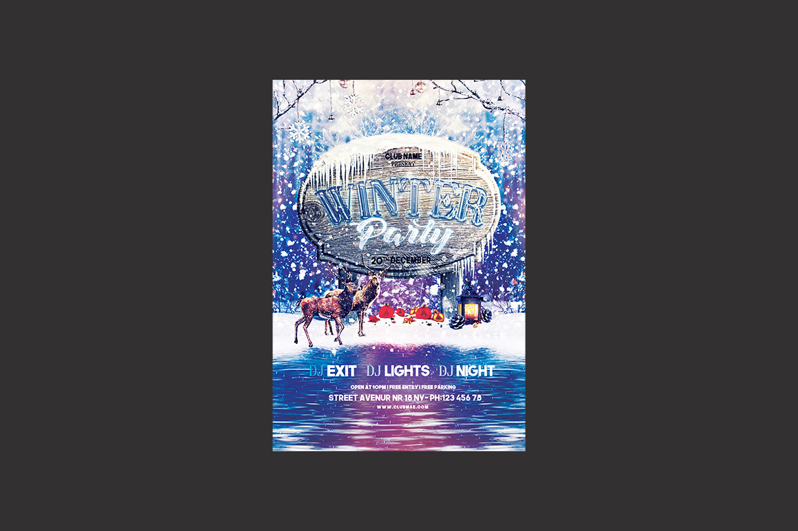 Winter Party Flyer, a Flyer Template by DSGraphicDesign