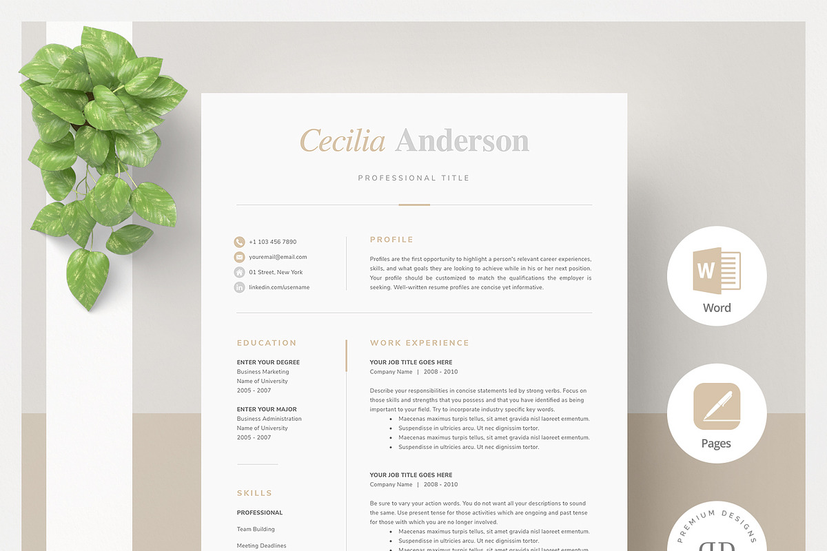 Modern 2 Page Resume Template, a Resume Template by DemeDesign ...