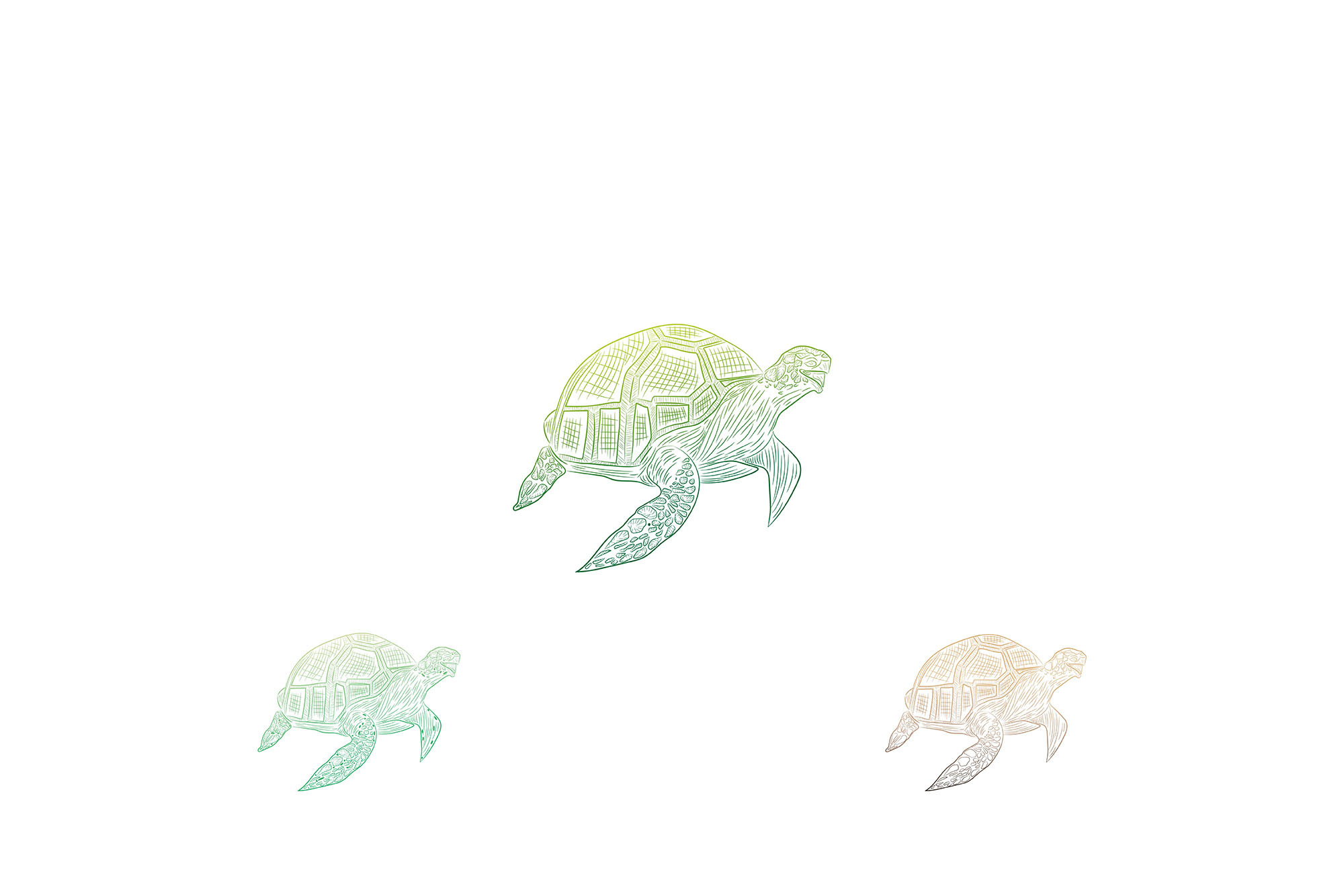 Tortoise Logo Design Template, a Branding & Logo Template by ...