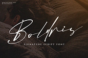 Boldris Signature Font, a Script Font by Vultype Co.