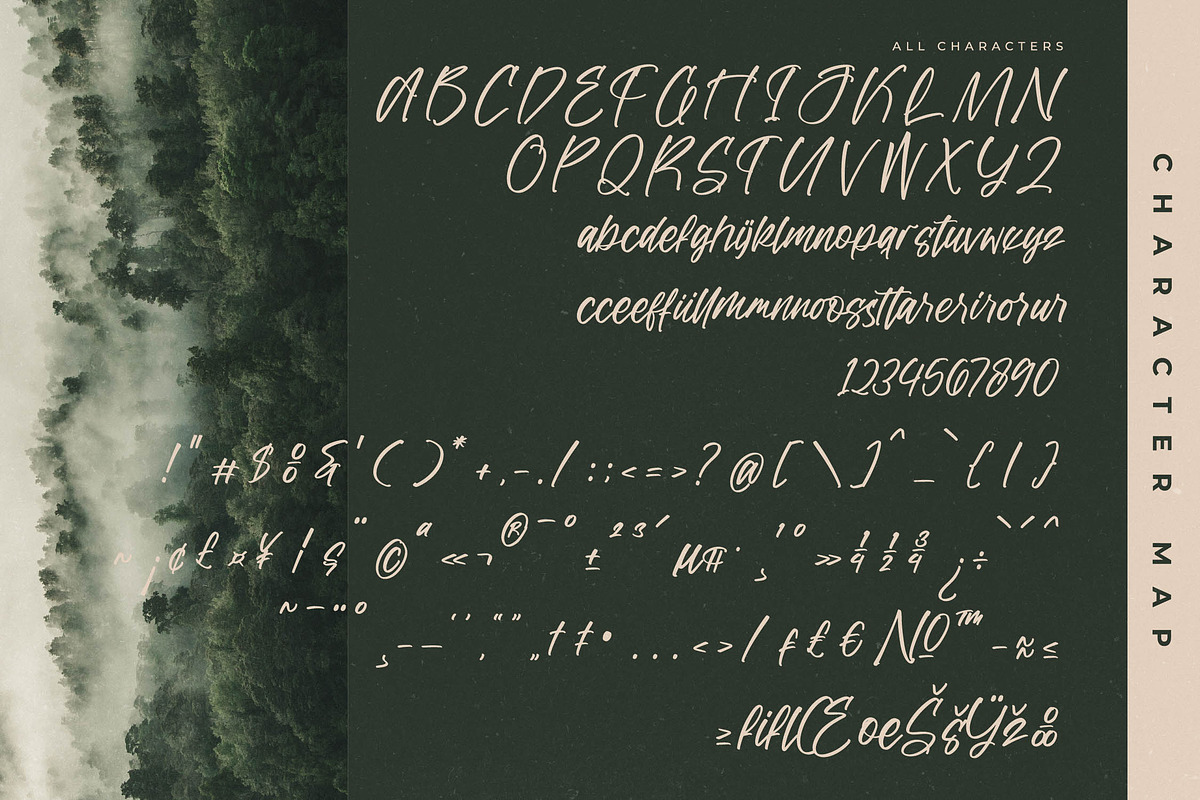 Golden Forest Modern Handwritten, a Script Font by Letterena Studios Script | Creative Market