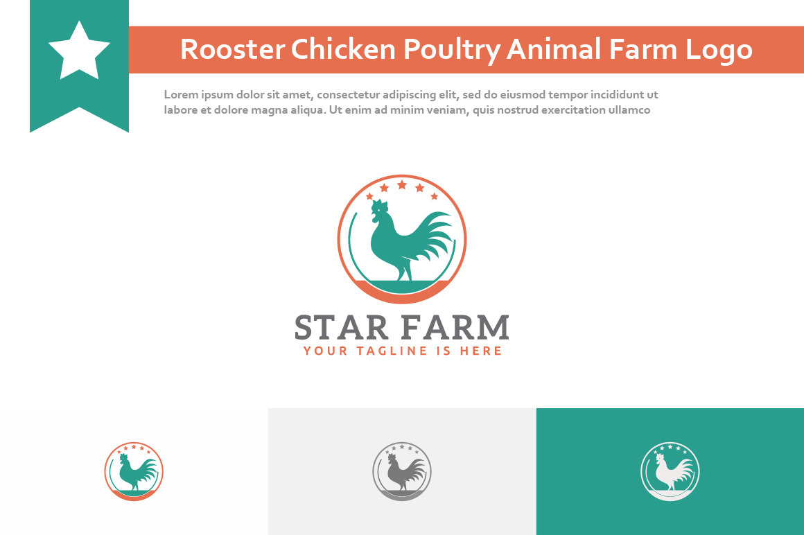 Star Chicken Rooster Poultry Logo, a Branding & Logo Template by ...