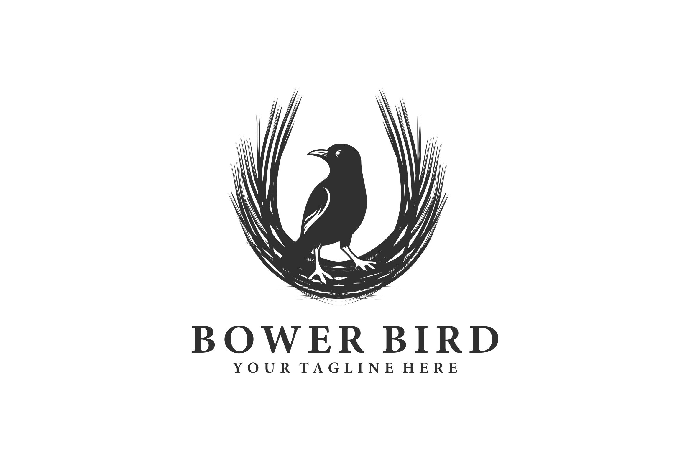 BOWER BIRD Logo, a Branding & Logo Template by artism_design