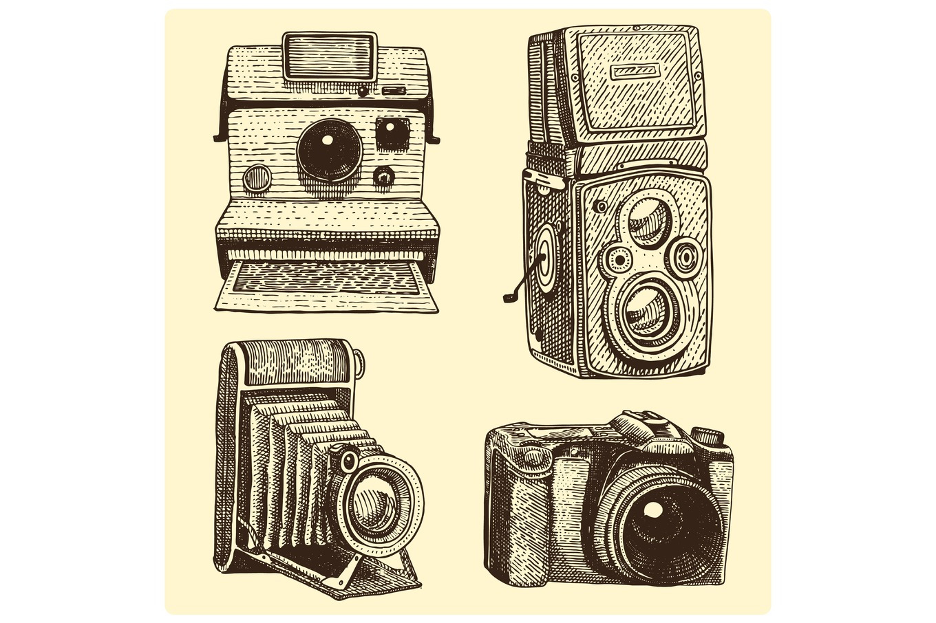 set of instant, vintage and modern Photo camera , engraved hand drawn ...
