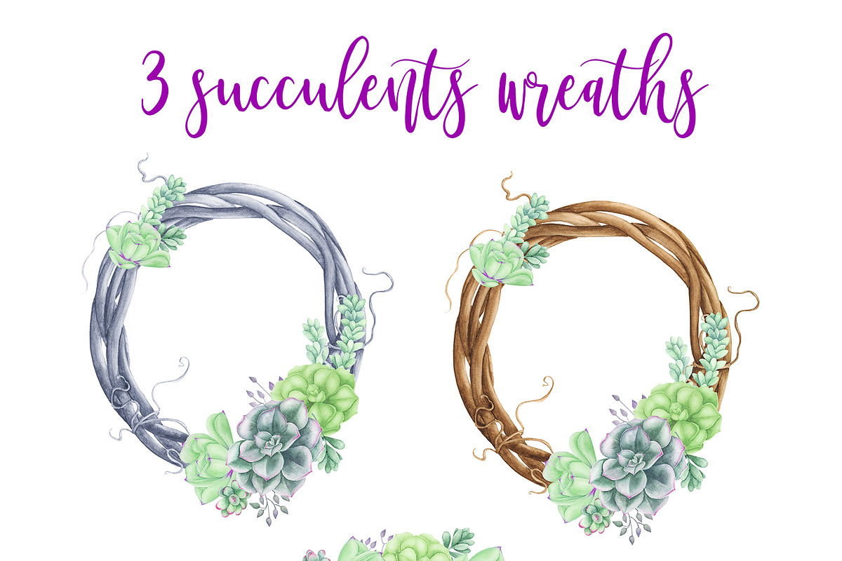 Succulents Bundle, a Decorative Illustration by Plants&Stuff