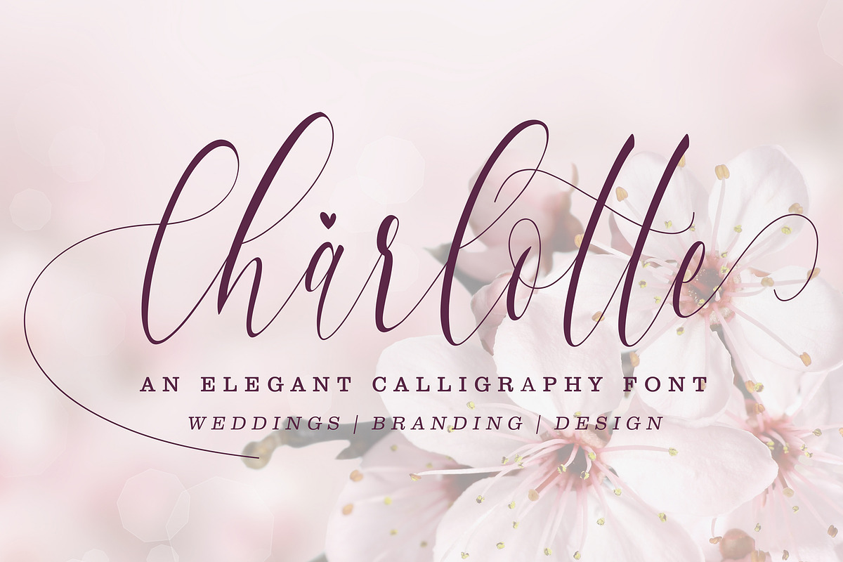 Charlotte Calligraphy, a Script Font by Aldedesign