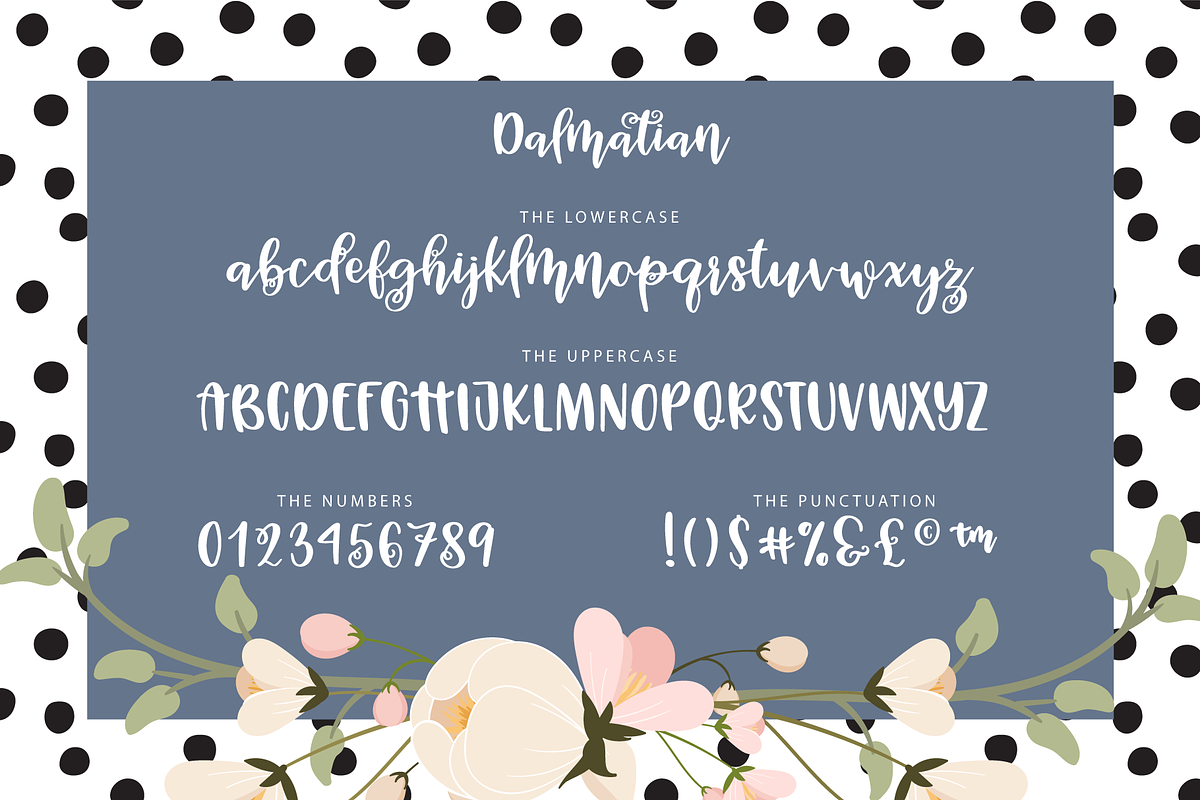 Dalmatian Script Font, a Script Font by LWH Designs