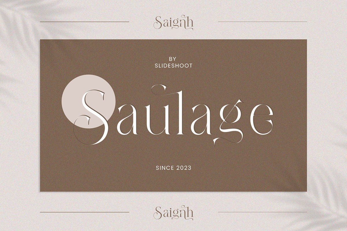 Saignh Serif Font, a Serif Font by Idea Studio