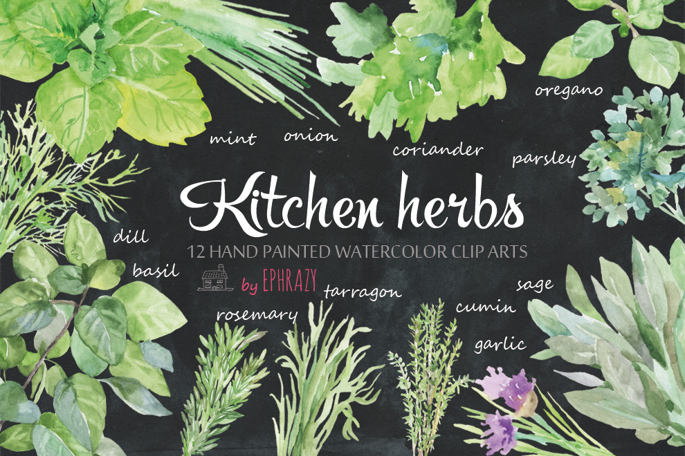 Kitchen herbs. Watercolor clipart, an Illustration by EphrazyGraphics