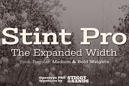 Ultra Pro, a Serif Font by Stiggy & Sands