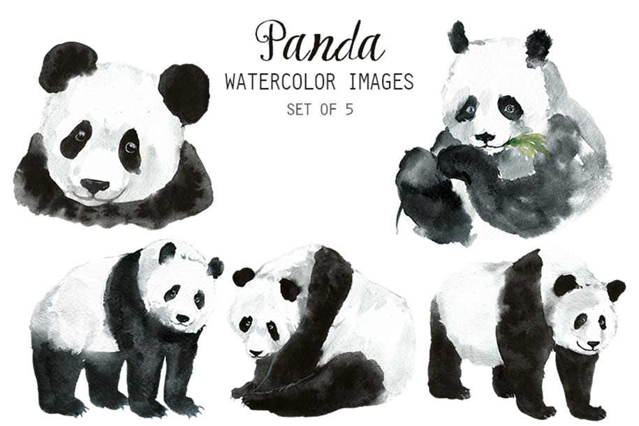 Watercolor Panda Clipart, an Animal Illustration by YesFoxy