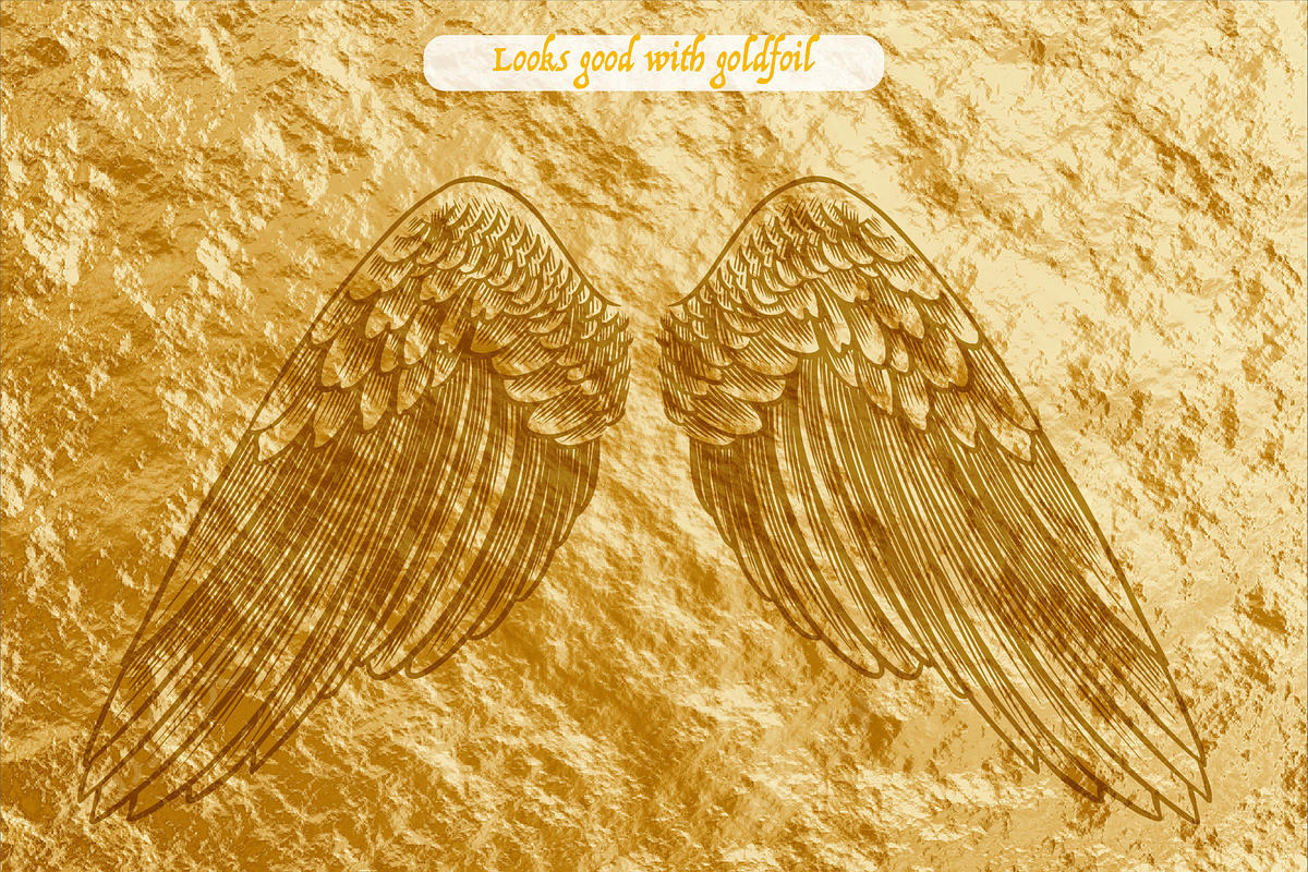 Angel wings drawing engraved, an Object Illustration by Arthur Balitskiy