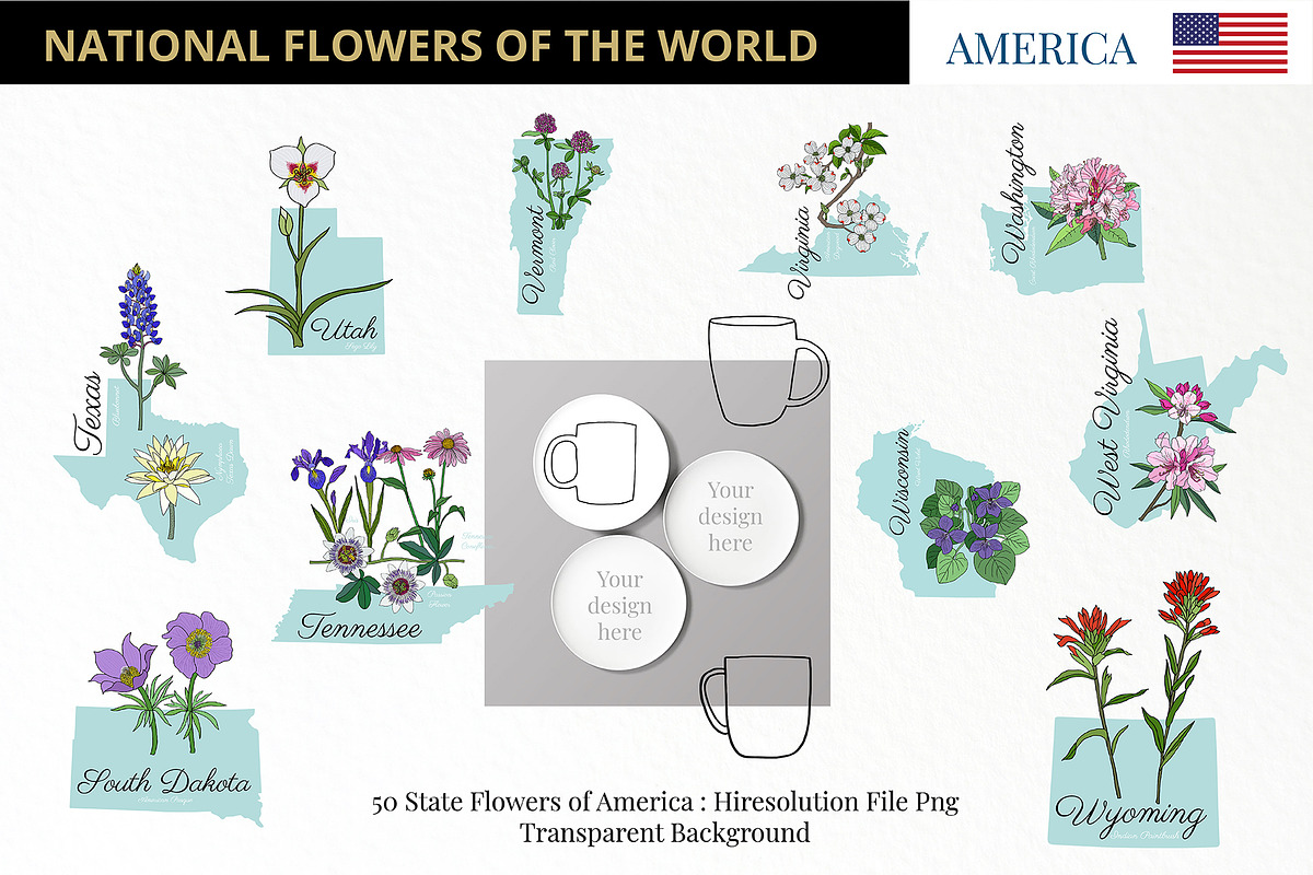 State Flowers of AMERICA, an Illustration by Hanatist Studio