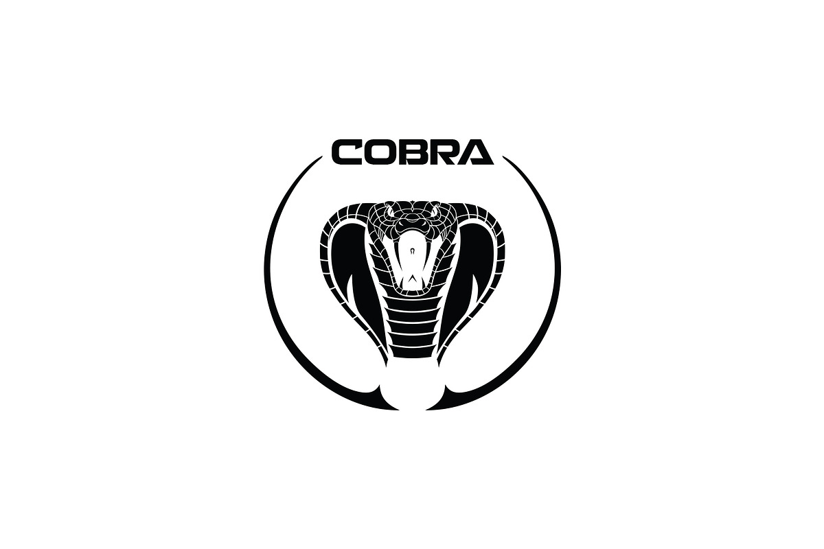Cobra logo, a Branding & Logo Template by Midgardians
