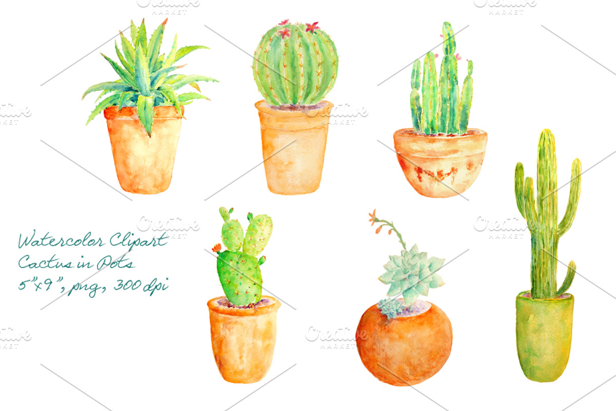 Watercolor Clipart Cactus in Pot, an Illustration by Corner Croft