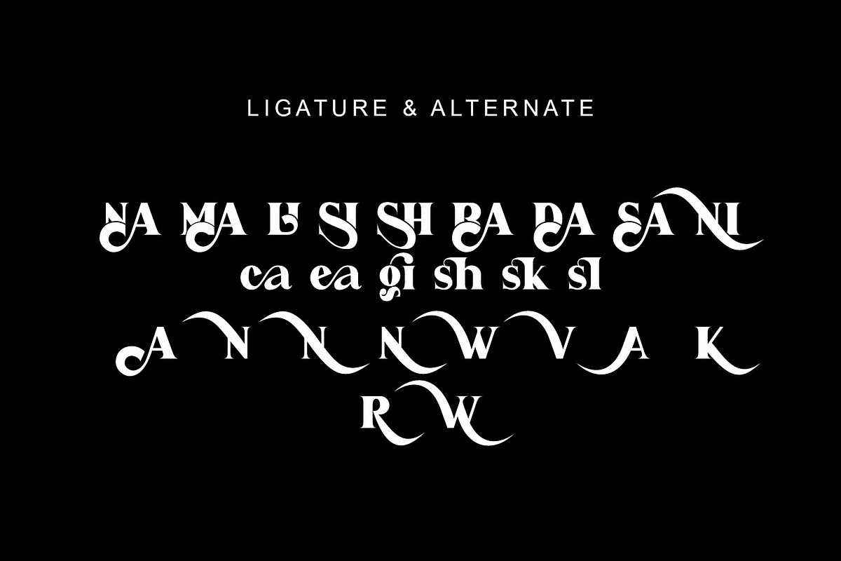 UNIDA Ligature serif typeface, a Serif Font by yaqublekker