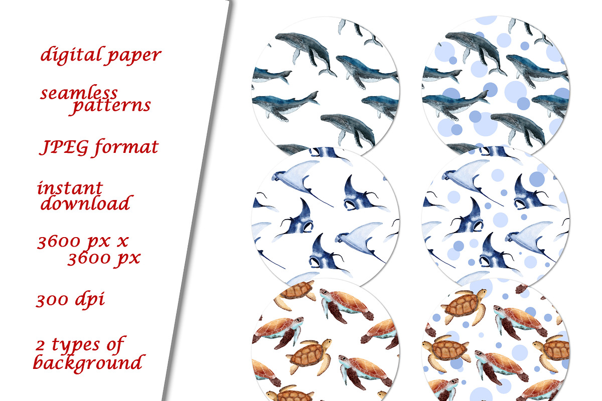 Sea Animals Clipart & Patterns, a Pattern Graphic by Lagmar Design