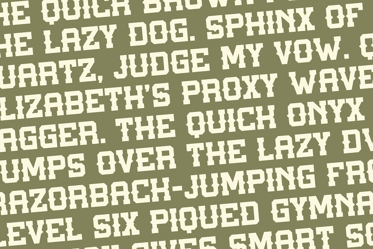 Texas Slab, a Slab Serif Font by Loudoun Design Co.