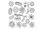 Bacteria sketch. Drawing viruses, a Background Graphic by Onyx