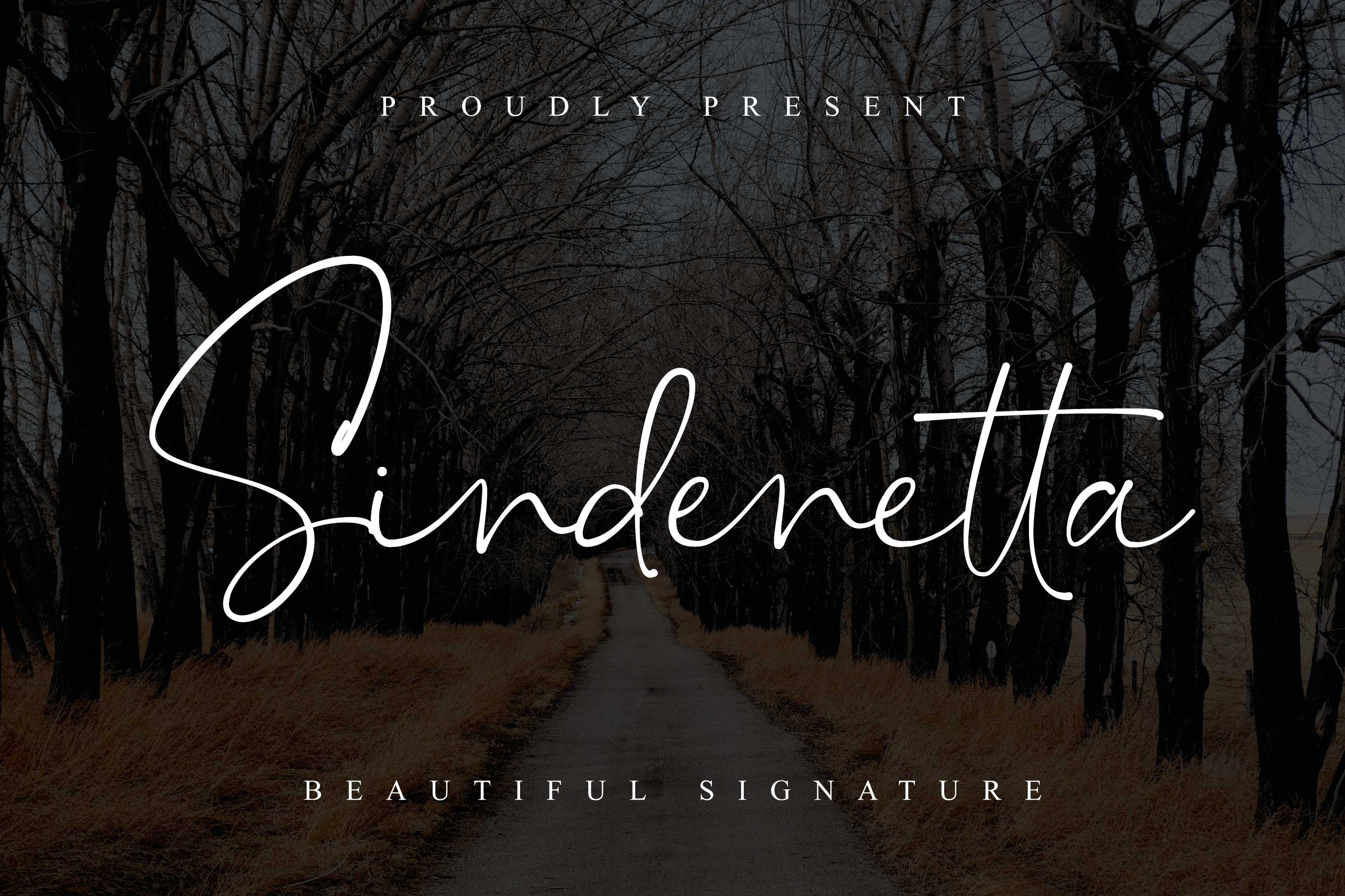 Sindenetta - Beautiful Signature, a Script Font by Almarkhatype