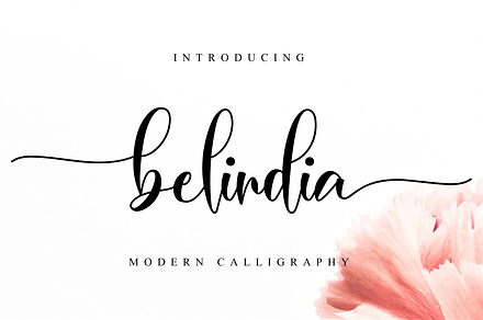 Delara Script, a Script Font by Nissa Studio