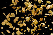 Flying corn flakes isolated on black featuring flake, corn, and flying ...