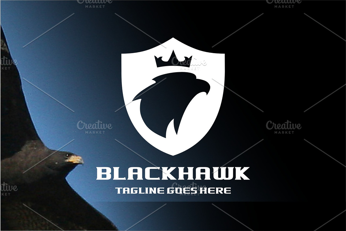 Black Hawk, a Branding & Logo Template by herulogo