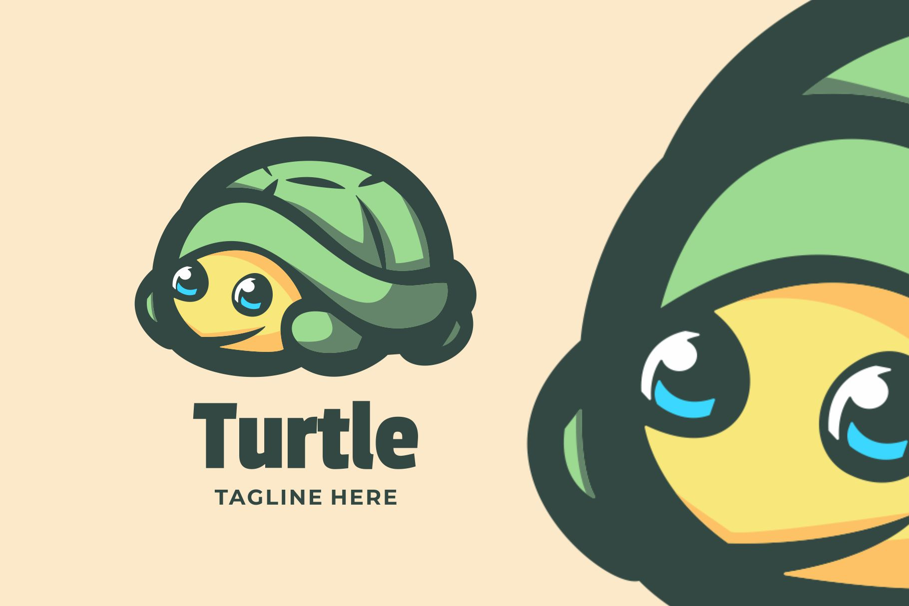 Turtle Logo Vector, a Branding & Logo Template by lelevien