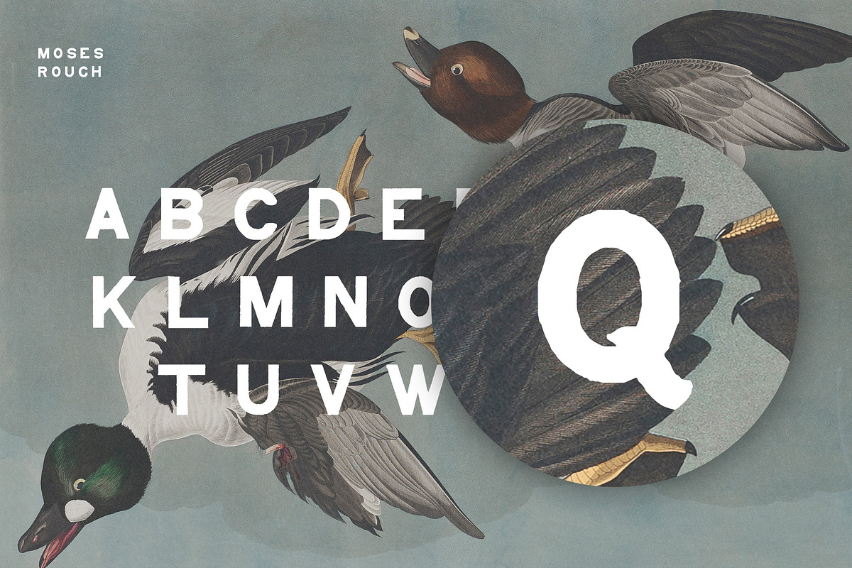 Moses - Display Grotesque Typeface, a Slab Serif Font by Nomad Visuals