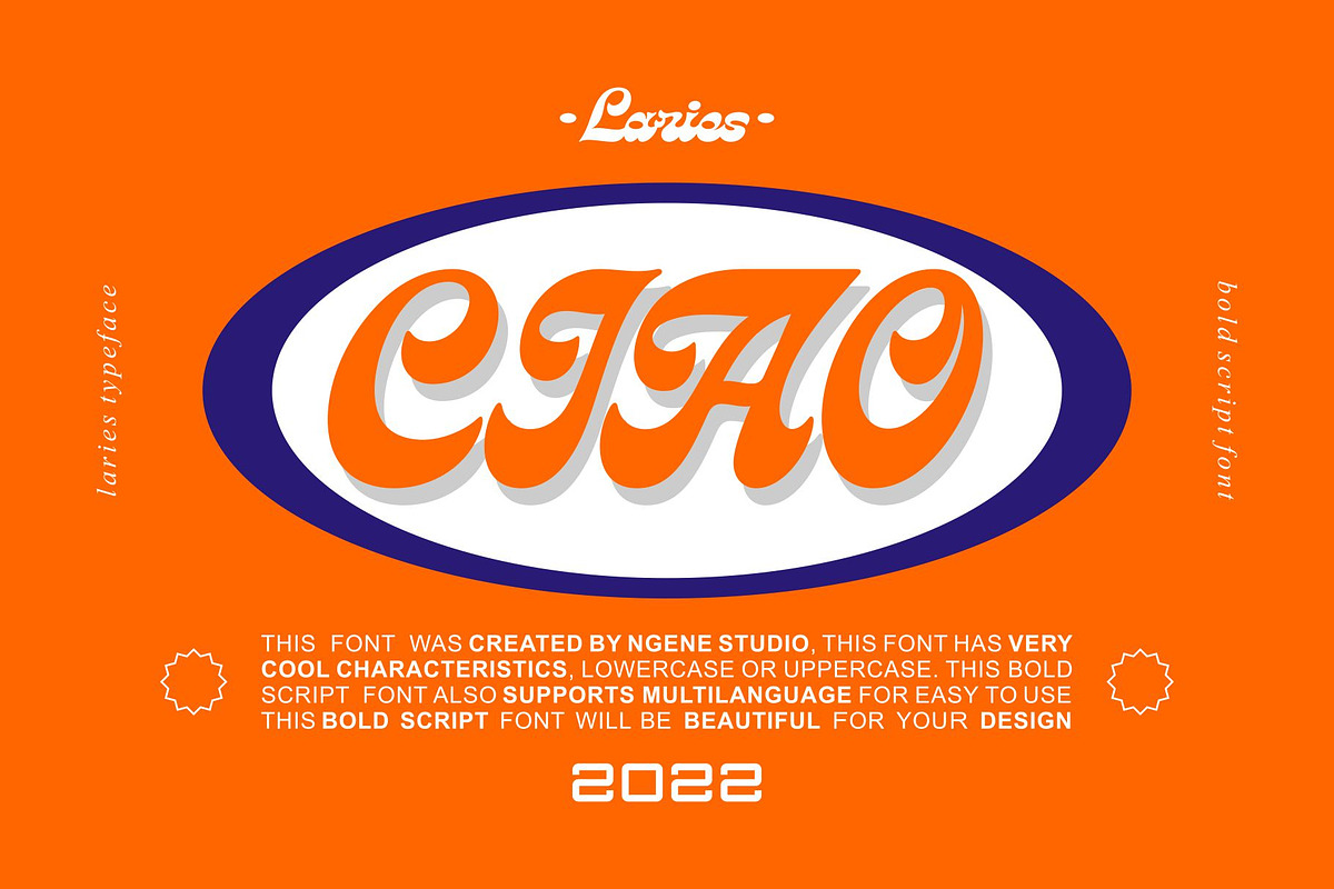 Laries Bold Script Font, a Script Font by ngene