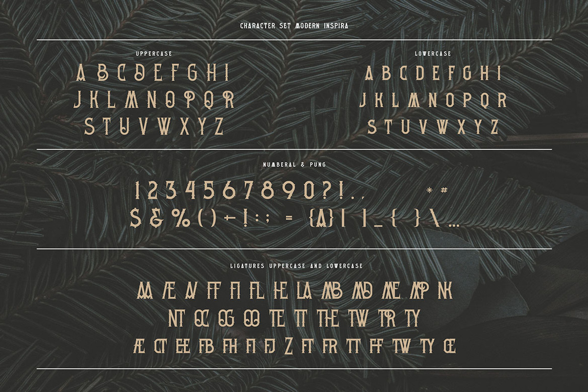Modern Inspira Vintage Font, a Serif Font by JumboDesign