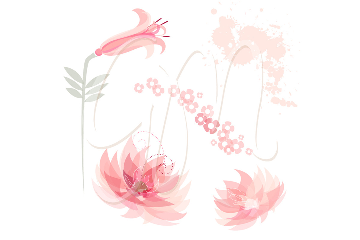 5 Flower Designs and 3 floral cards, an Illustration by GraphicMarket